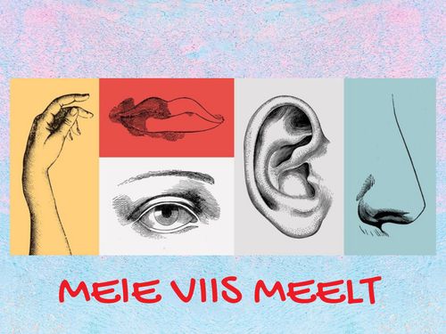 Book Creator | MEELED