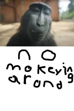 Book Creator | no monkeying around