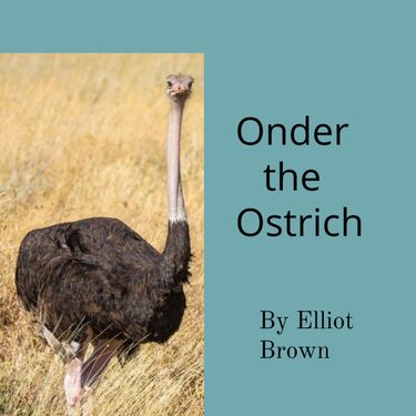 Book Creator | Onder the Ostrich