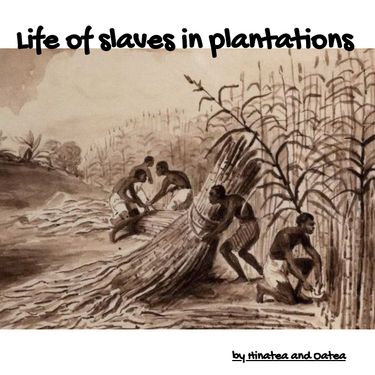 Book Creator | life of slaves in plantations