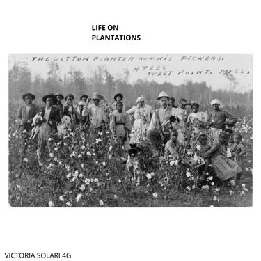 Book Creator | live on plantations