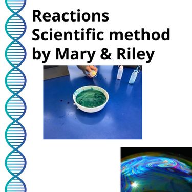 Book Creator | Scientific Method
