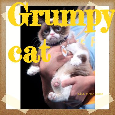 Book Creator | Grumpy cat (a.k.a. Tartar-Sauce)