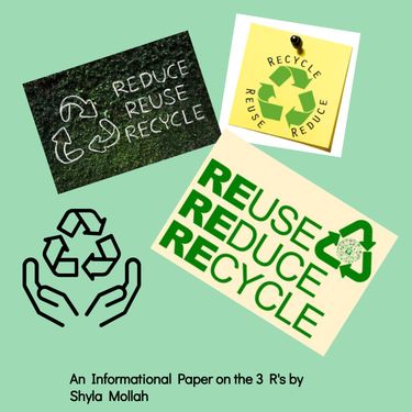 Book Creator | An Informational Paper on the 3Rs