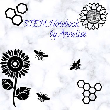 Book Creator | STEM Notebook