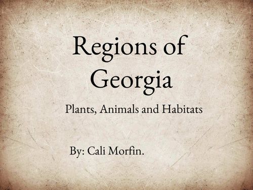 Book Creator | Regions of Georgia