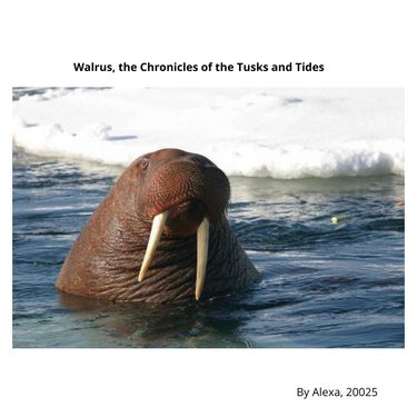 Book Creator | Walruses