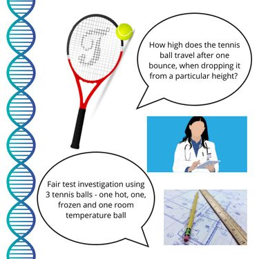 Book Creator | Fair test investigation