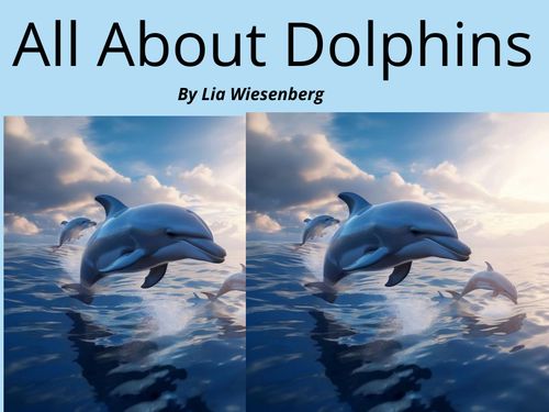 Book Creator | All About Dolphins