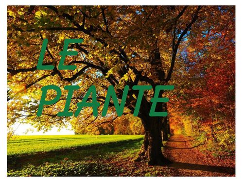 Book Creator | CLASSIFICARE LE PIANTE