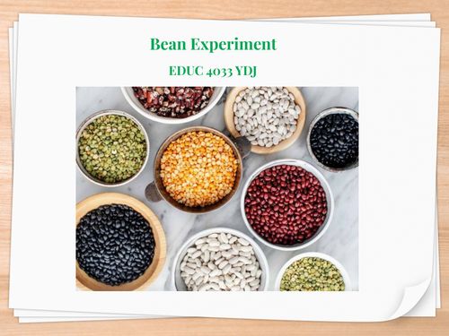 Book Creator | Bean Experiment