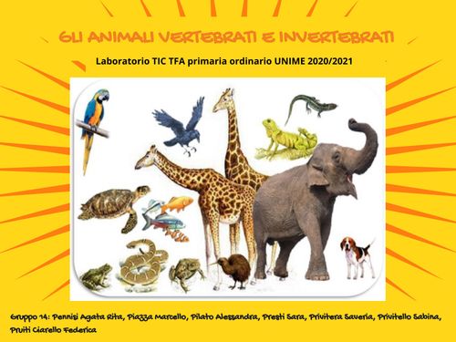 Book Creator | GLI ANIMALI VERTEBRATI E INVERTEBRATI
