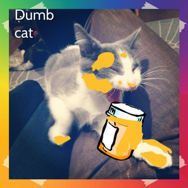 Book Creator | Dumb cat