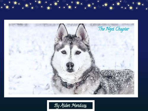 Book Creator | The Next Chapter