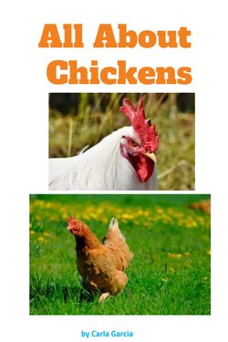 Book Creator | All About Chickens