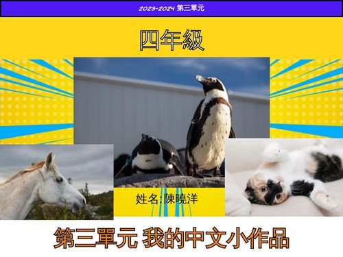 Book Creator | G4 IM2 Unit Three