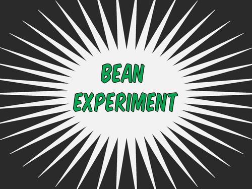 Book Creator | Bean Experiment