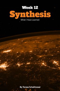 Book Creator | Week 12 Synthesis