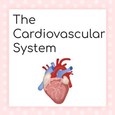 Book Creator | Cardiovascular System