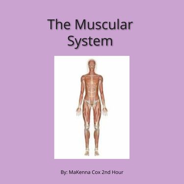 Book Creator | The Muscular System