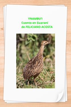 Book Creator | Ynambu´i