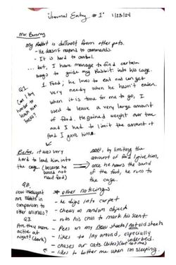 Book Creator | Wonder Journal Entries