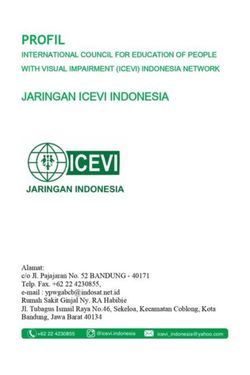 Book Creator | Draft Profil ICEVI Indonesia Network
