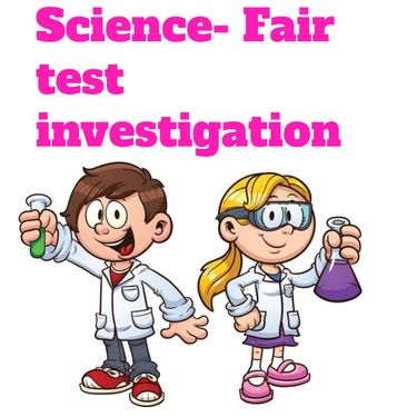 Book Creator | Science-Fair test Investigation