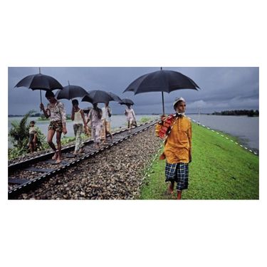 Book Creator | afsdg