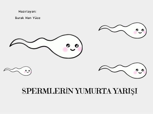 Book Creator | Burak Han Yüce