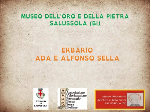 Book Creator | ERBARIO ADA E ALFONSO SELLA