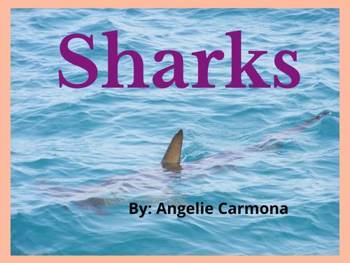 Book Creator | SHARKS