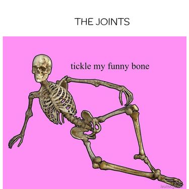 Book Creator | THE JOINTS