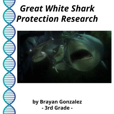 Book Creator | Great White Shark Protection Research