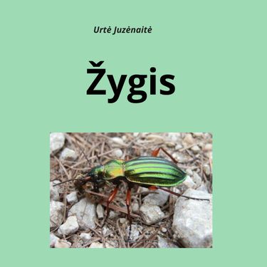 Book Creator | Vabalas "Žygis"