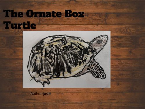 Book Creator | The Ornate Box Turtle