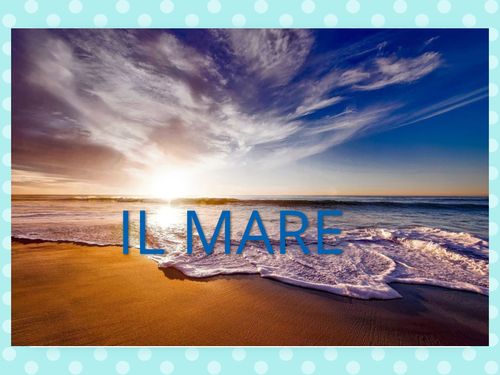 Book Creator | IL MARE