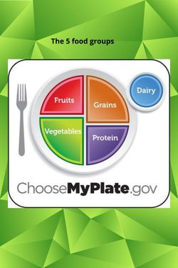 Book Creator | The 5 food Groups