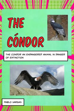 Book Creator | El cóndor en peligro de extinción