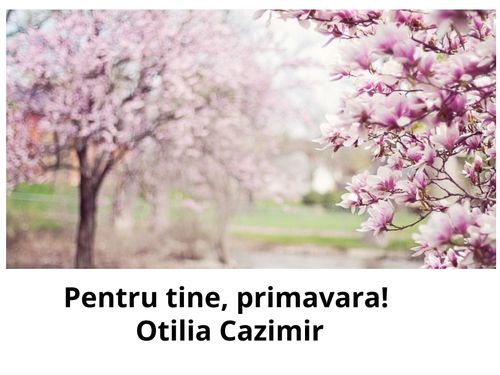 Book Creator | Pentru tine, primavara!