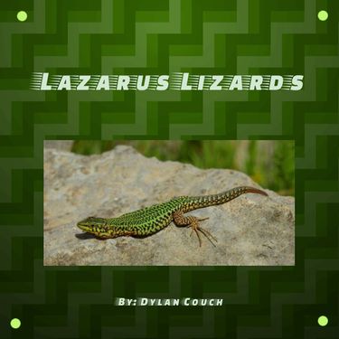 Book Creator | Short History on the Lazarus LIzards