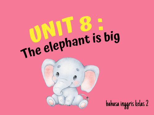 Book Creator | buku Bahasa Inggris kelas 2 unit 8
