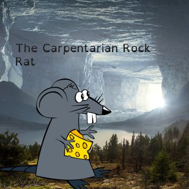 Book Creator | The Carpentarian Rock Rat