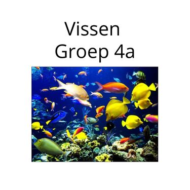 Book Creator | Vissen groep 4A