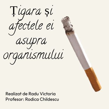 Book Creator | tigarile