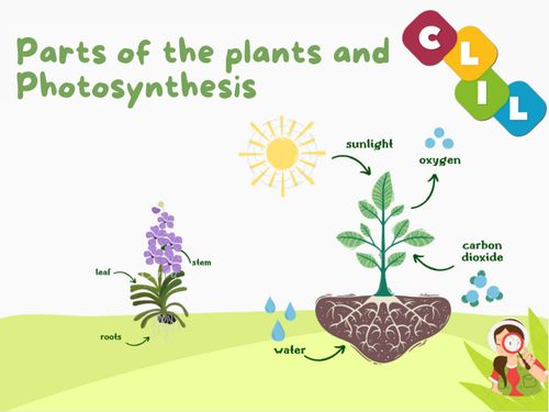 Book Creator | Parts of the plants and Photosynthesis