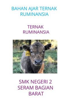 Book Creator | TERNAK RUMINANSIA