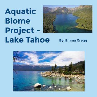 Book Creator | Aquatic Biome Project