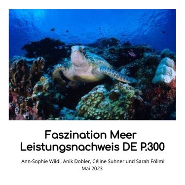 Book Creator | Faszination Meer