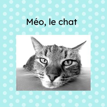 Book Creator | Méo, le chat